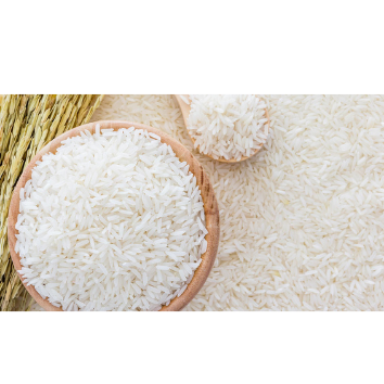 [Halal] Jasmine Fragrant Rice / Beras Wangi 5kg – Daily Cart